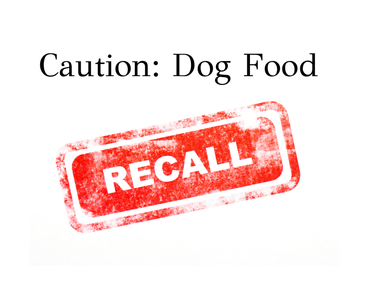 Dog Food Recalls: August 2021 FDA Warning