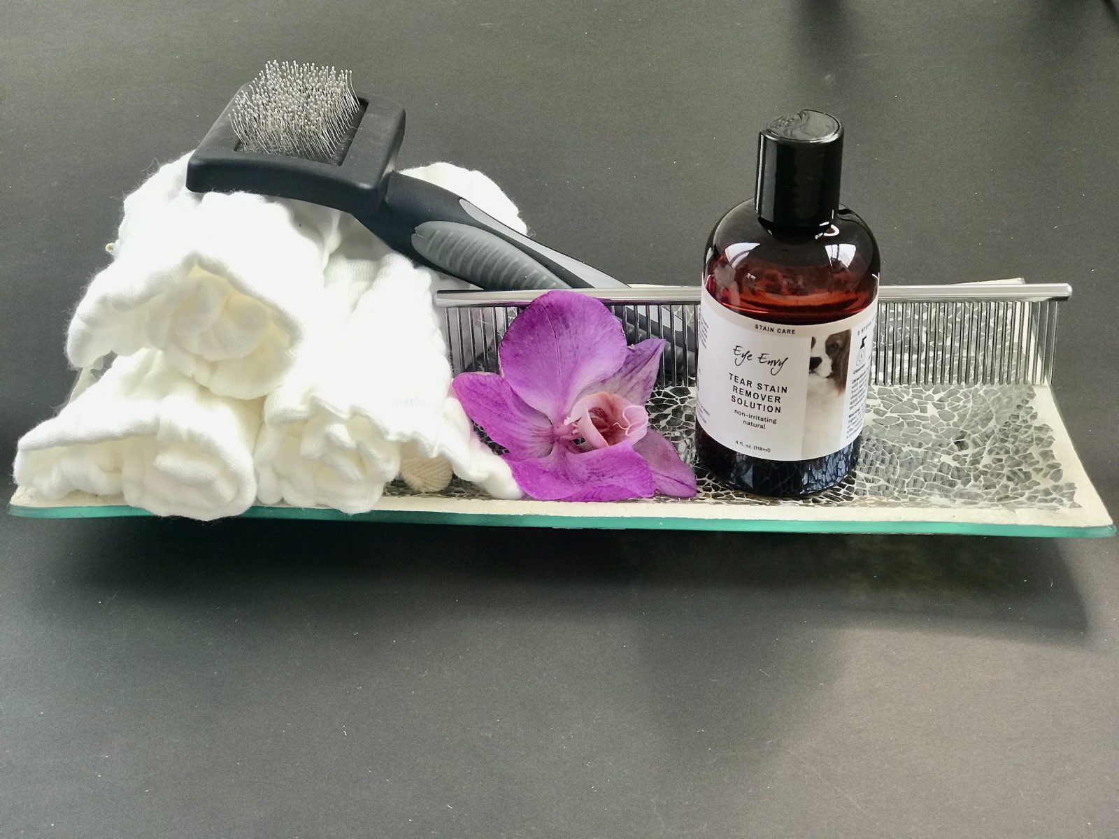 Small Dog Grooming Made Easy: Do These Three Things
